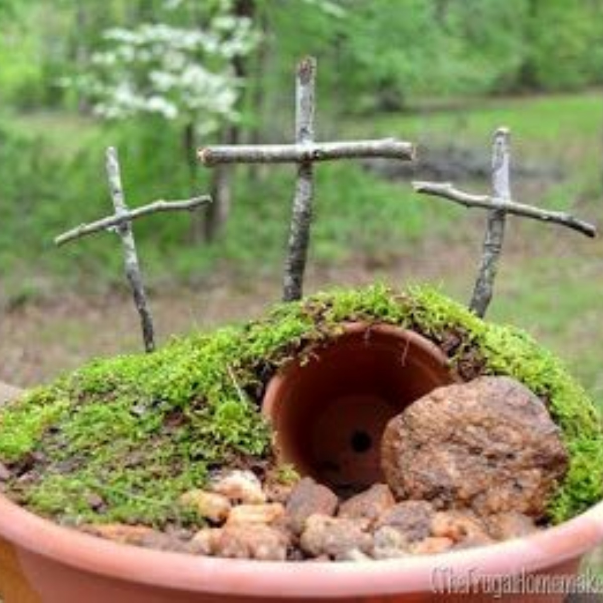 Aspire Federation - Easter Garden Competition